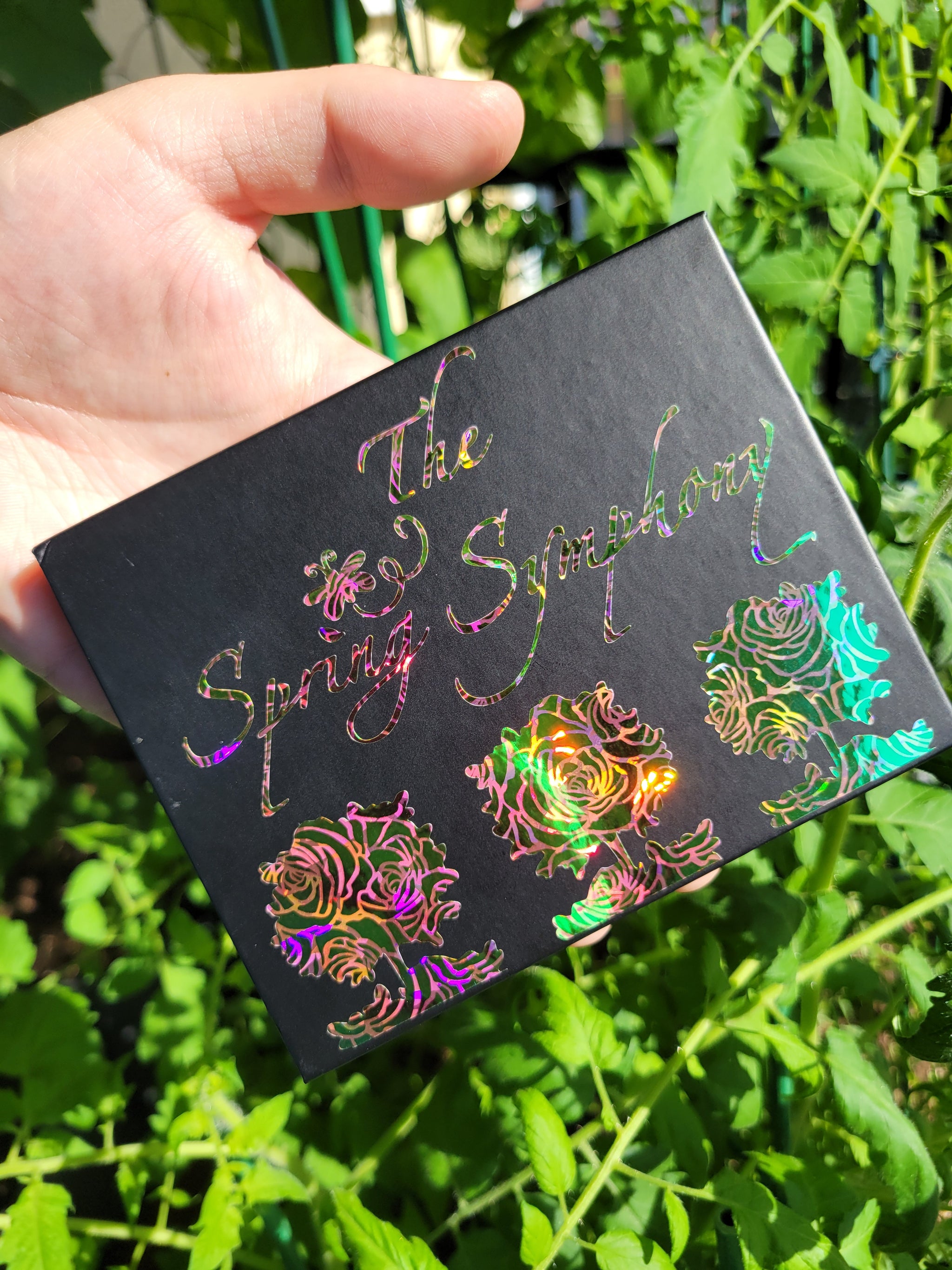 Dandy Lions Cosmetics